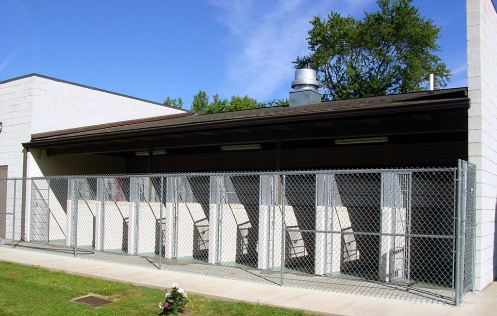 Dogs, Cats Safe After SPCA Fire – Coudy News